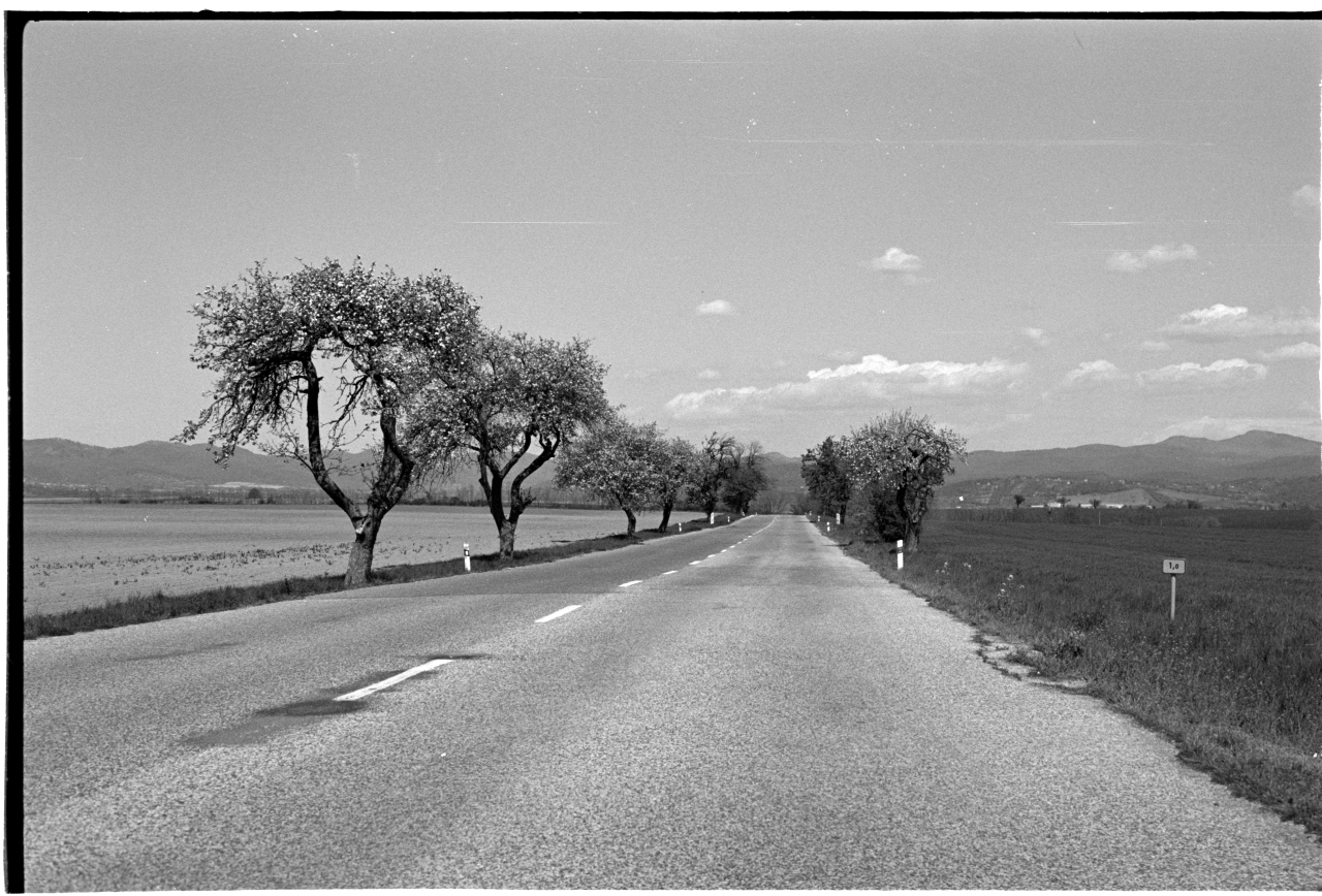 Adox Silvermax 100 in D76 1+1 12 mins. - Shoot film, have fun