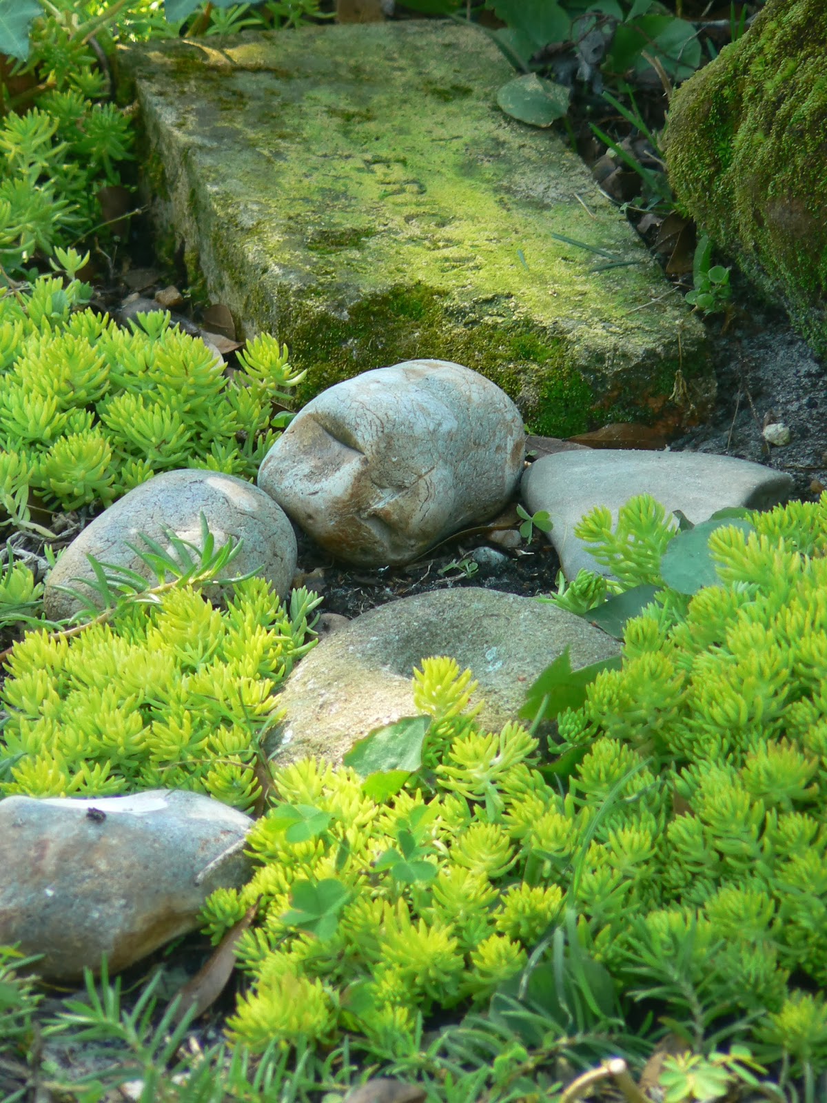 My Crazy Quilt Life: Some Favorite Garden Spots, Currently........