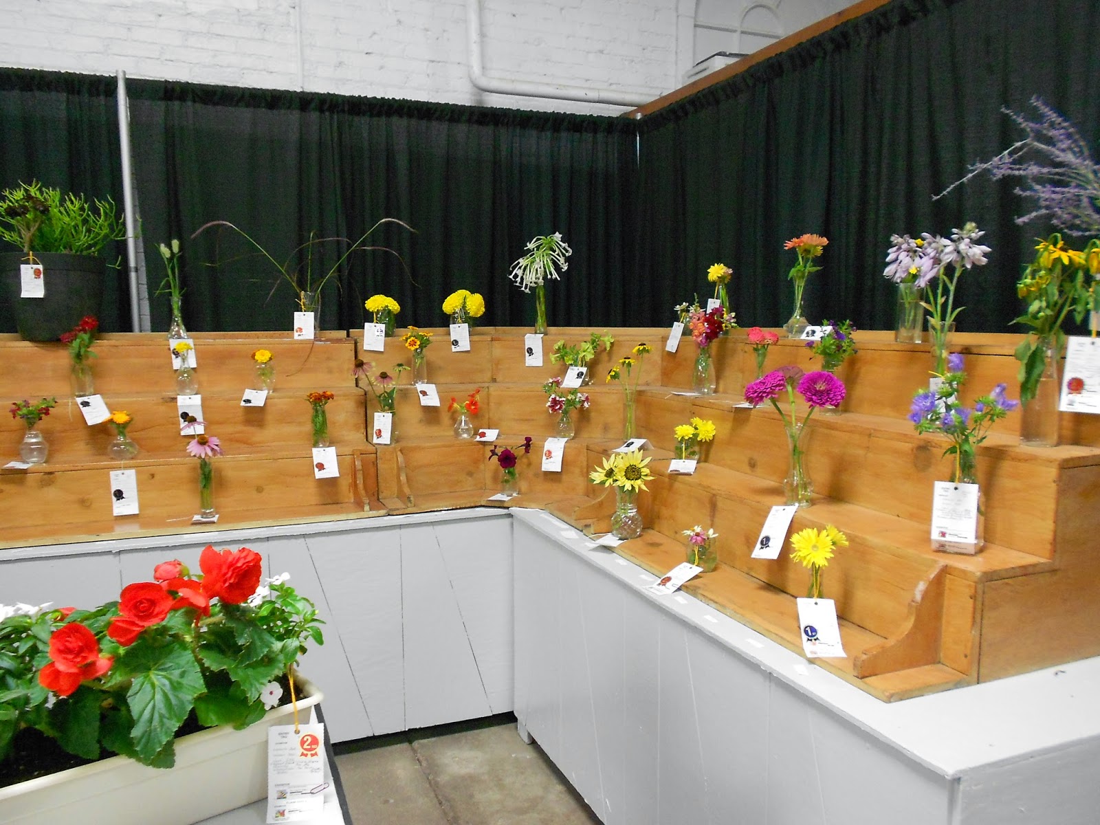 SkyBlueSounds : Lake Pewaukee in Wisconsin