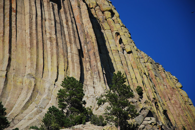 Postcards from the RV: Devils Tower and Deadwood Gulch