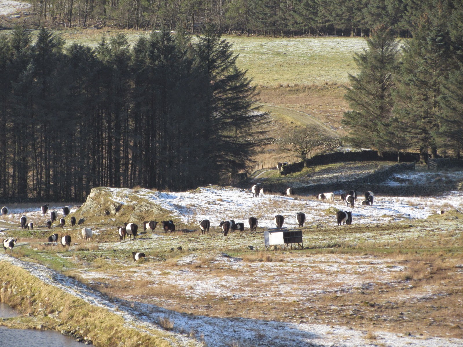 The Glebe Blog: Pibble Hill Mine Revisited