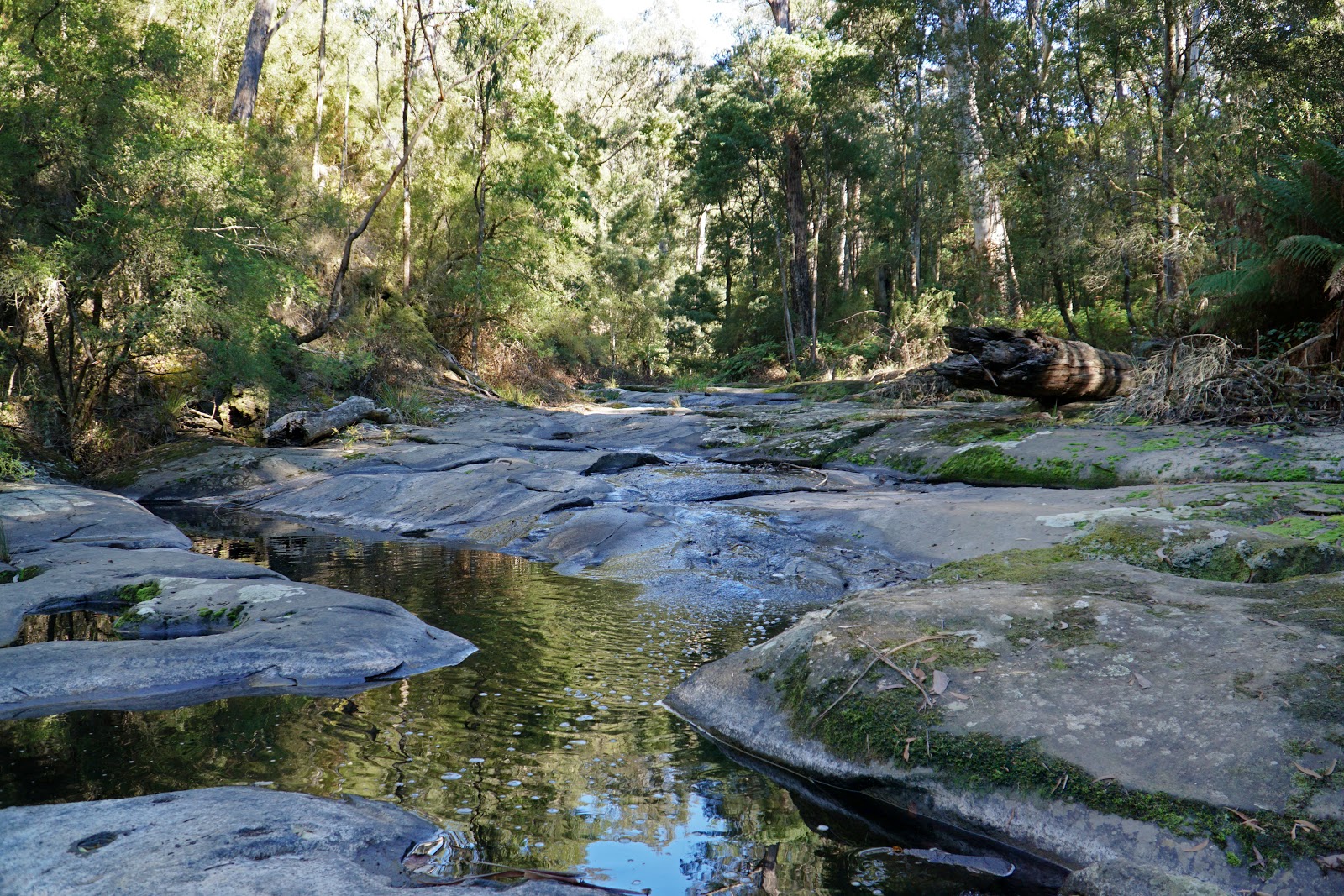 The Canyon & Phantom Falls (Great Otways National Park) ~ The Long Way ...