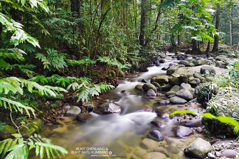 Trans Bukit Chenuang + Batu Kumbang 跨越双峰拥抱 180 度完美视野 - 乐飞翎 ♥ LUVFEELIN