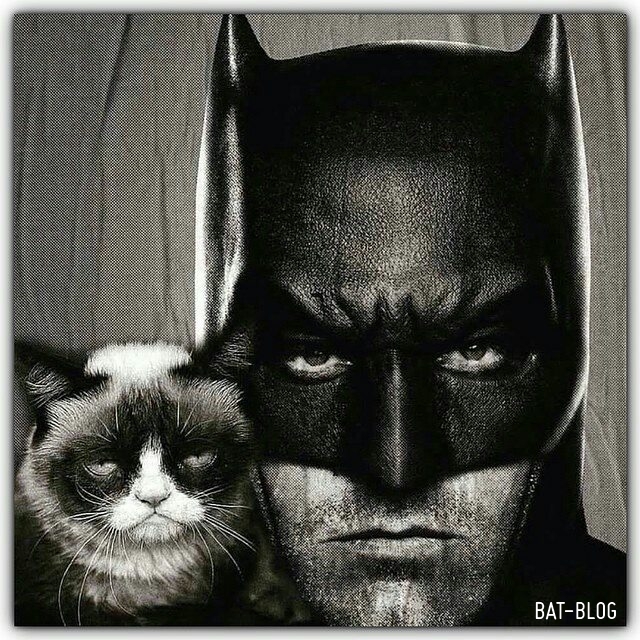 BAT - BLOG : BATMAN TOYS and COLLECTIBLES: #BATMAN HUMOR Meme Photos ...