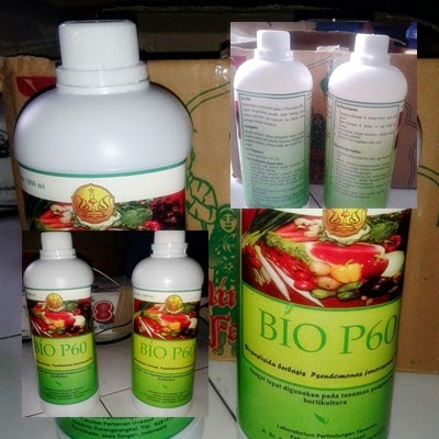 BONA's OL Shop: BIO P60 Pestisida Alami ahli mengatasi penyakit Tanaman