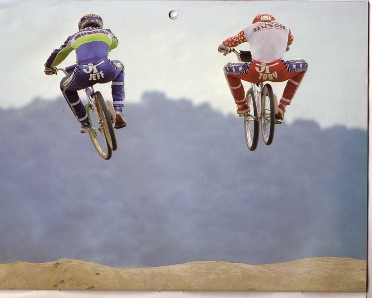 red division: noviembre 2013