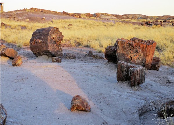 Visit Petrified Forest National Park | Travel Quest - US Road Trip and ...