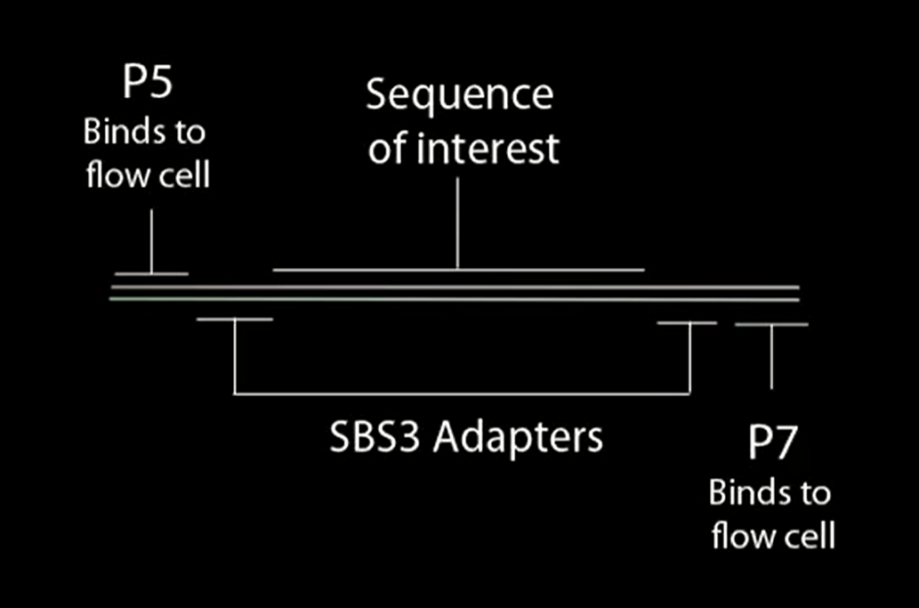 Playing with Sequences: Different platforms of Sequencing...Part III