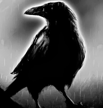 Andy foto natura: Cuervos