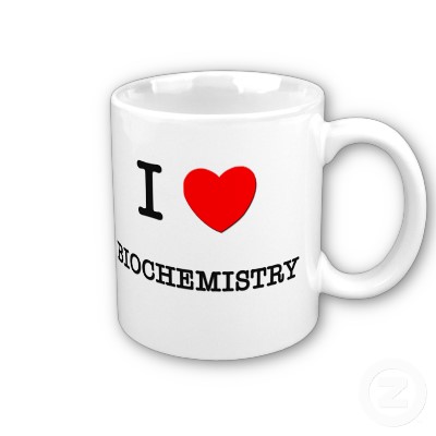 Identify The Best Career Option: August 2012