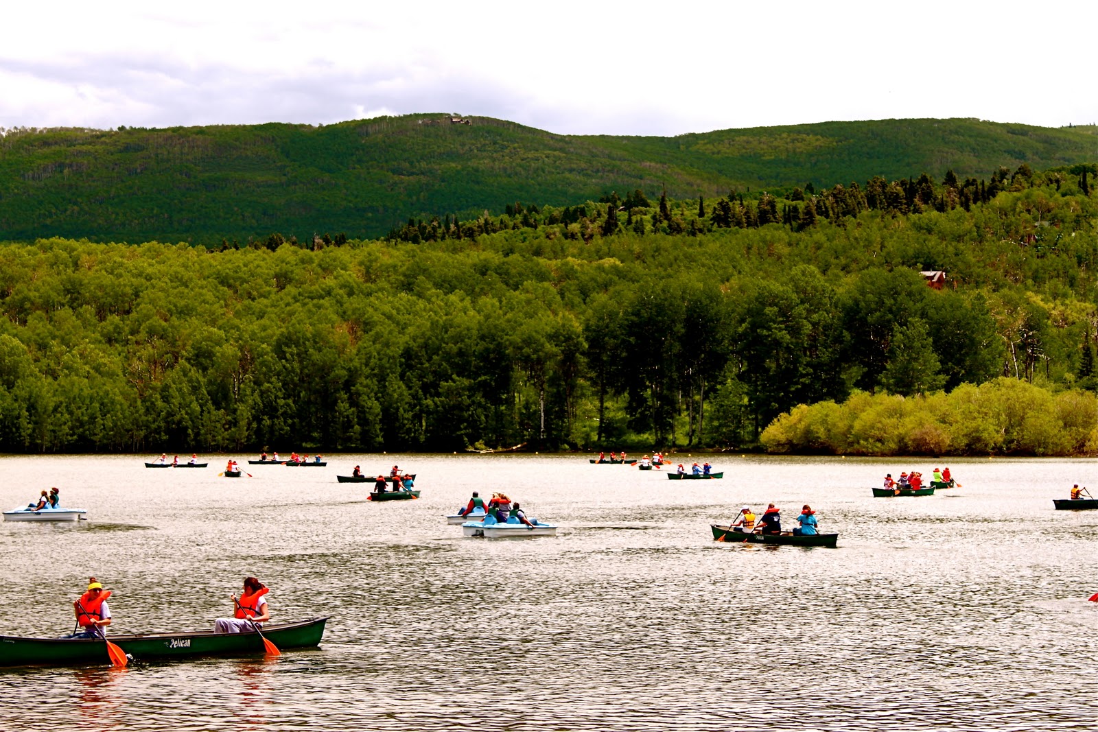 A Bountiful Kitchen: Black Bottom Banana Cream Pie