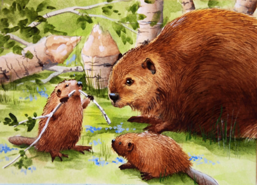 Kaaren's Art and Author Blog: A Beaver Family for Me!