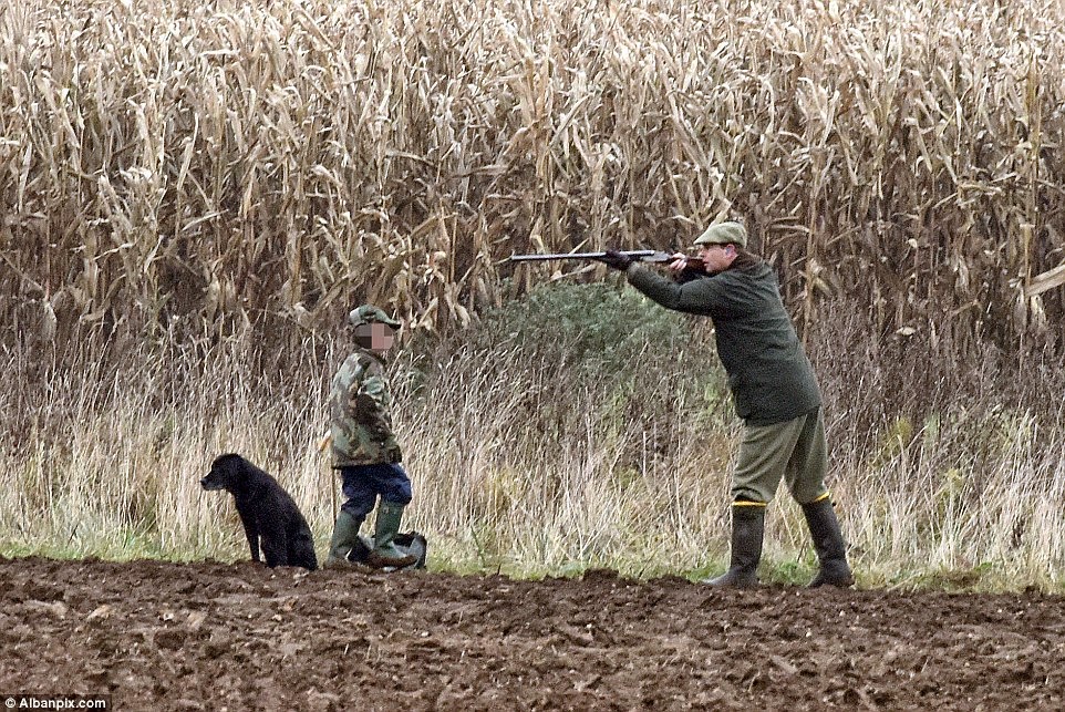 imagenes de animales cazando
