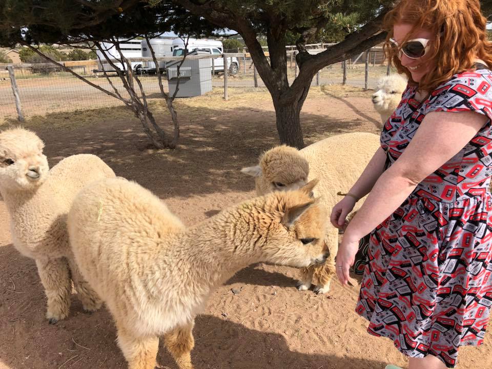 The Feisty Redhead: Lots of Cute Fuzzy Alpacas (and their Yarn!)
