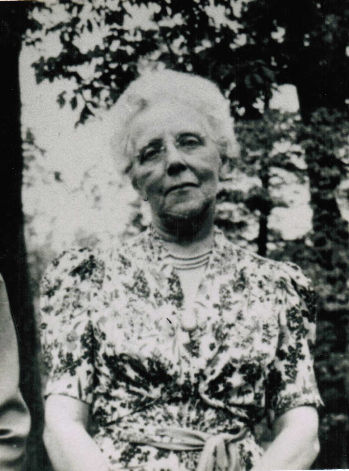 Genealogy Activities