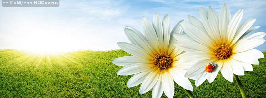 High Quality FaceBook Covers: Facebook covers sunrise