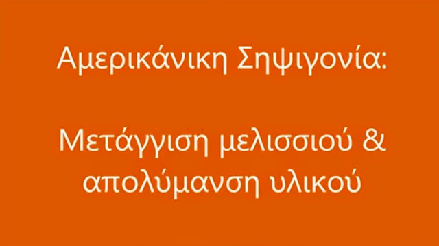 Πώς θεραπεύουμε την ΑΜΕΡΙΚΑΝΙΚΗ ΣΗΨΙΓΟΝΙΑ (ΒΙΝΤΕΟ) - XΡΥΣΟ ΜΕΛΙ ΖΑΚΥΝΘΟΥ
