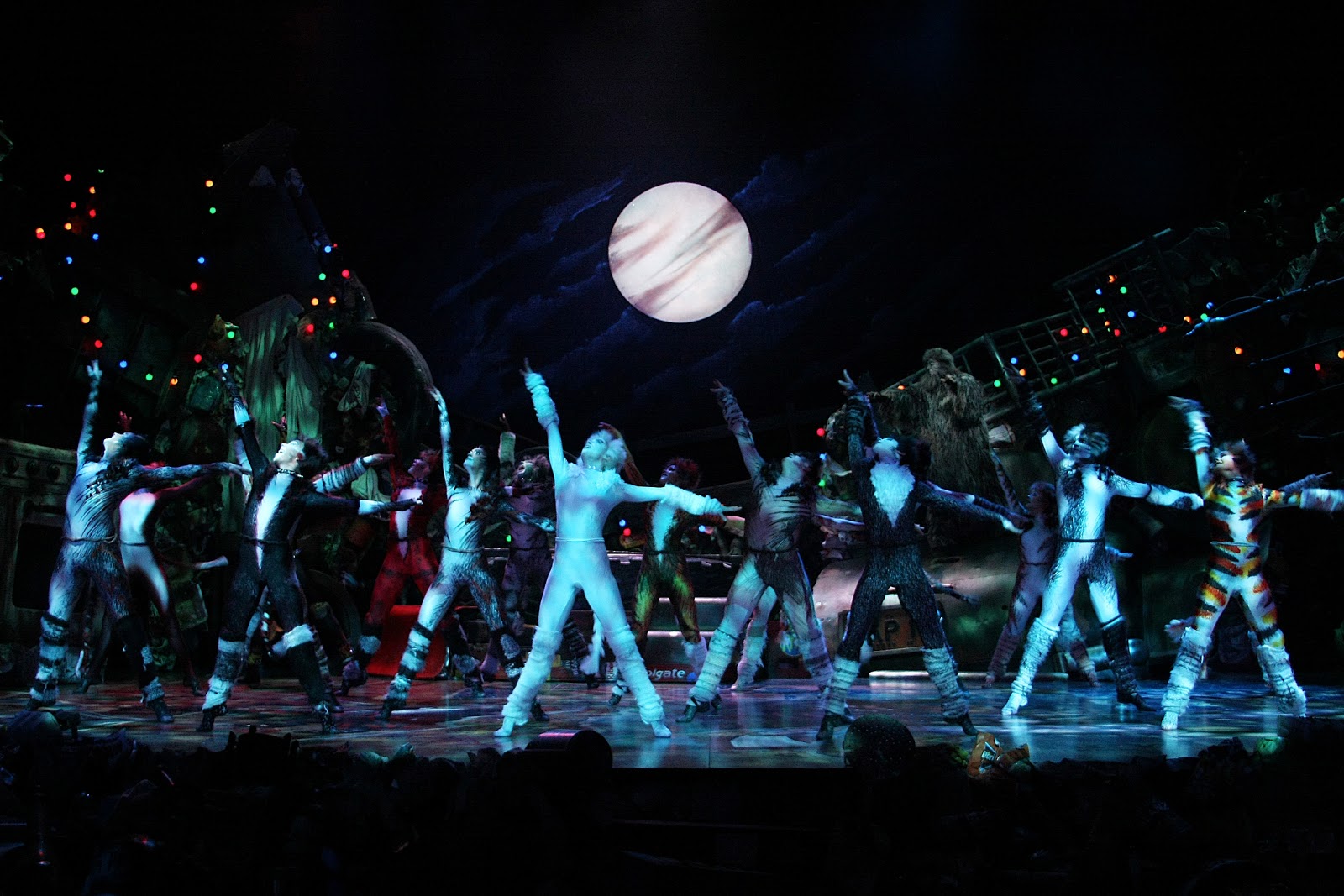 The Theatre Blog: Review | CATS (UK Tour) March 2013