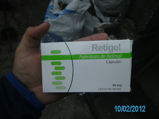 CRIADOR DE LA TORTUGA DE TIERRA,GOPEHRUS BERLANDIERI: VITAMINA A ...