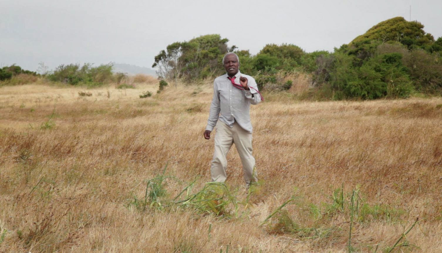 Augusta Lee Collins: DISCOGRAPHY