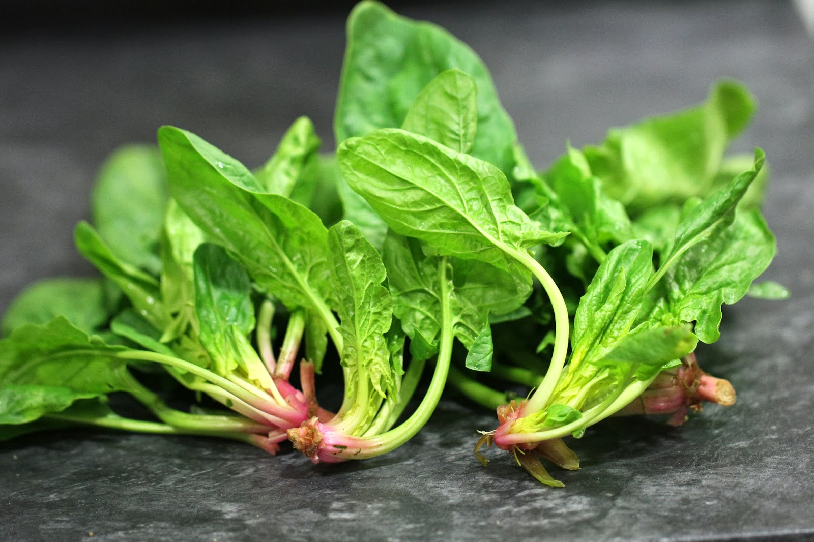 Escuela de Cocina: LAS ESPINACAS