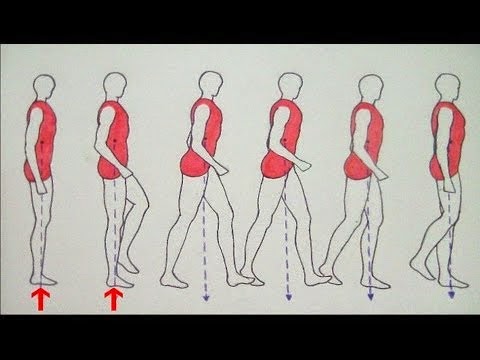 La Marcha Humana: Determinantes y Variantes de la Marcha