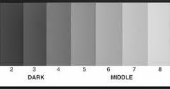 Tips: How to see value