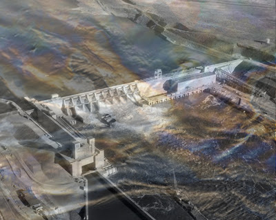 Save Our Wild Salmon: Toxic Oil Spill on the Lower Snake; What Next?