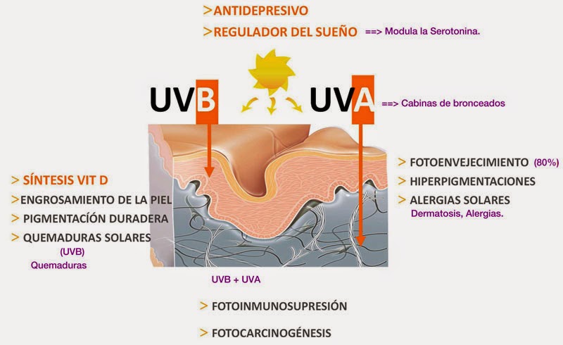 Tu Farmacéutico Responde: RECOMENDACIONES EXPOSICIÓN AL SOL