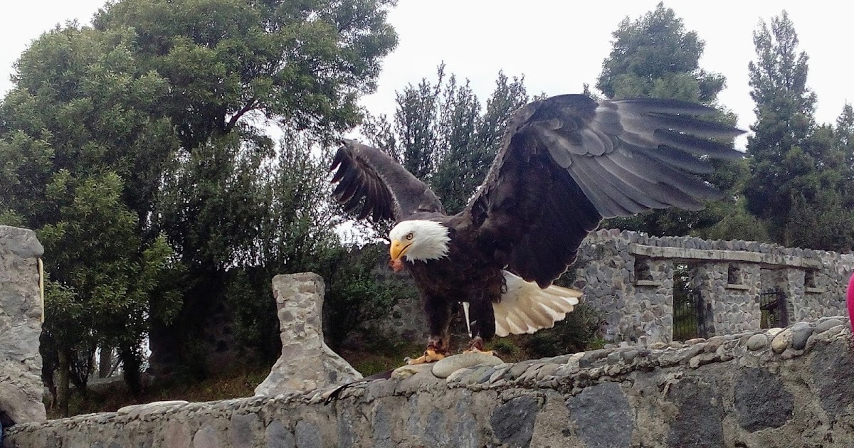 PARQUE CÓNDOR - OTAVALO - ECUADOR