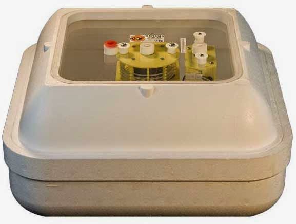 A Guide to Artificial Incubation of Poultry Eggs