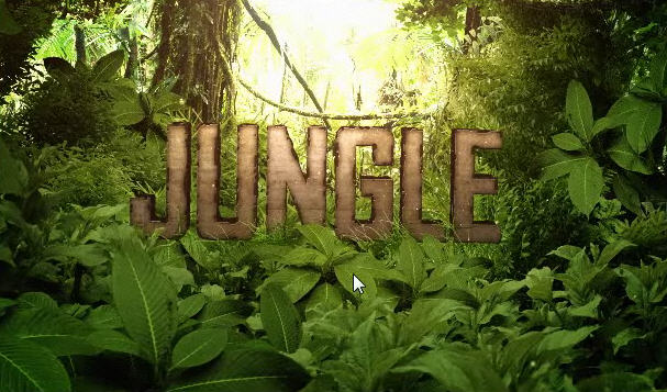 Creating the The Jungle in After Effect | Computer Graphics Daily News