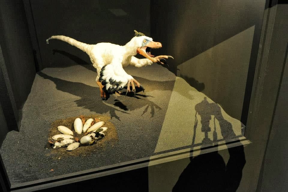Species New to Science: [Paleontology • 1998] Variraptor mechinorum • A ...
