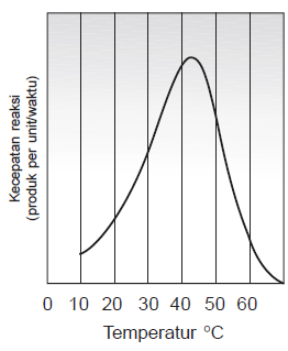 Faktor-Faktor Yang Mempengaruhi Kerja Enzim | All About Biology