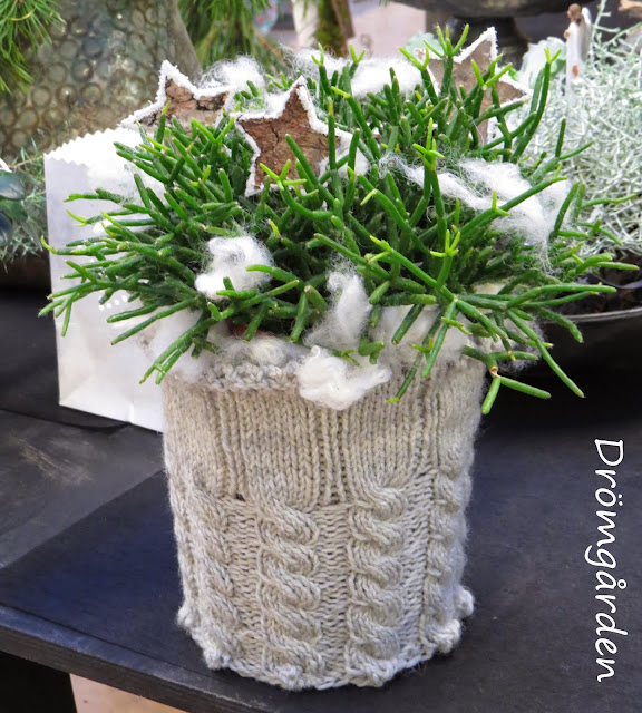 Drömgården: Yrkesprov i "dekorering" del 2, och vinterplanteringar