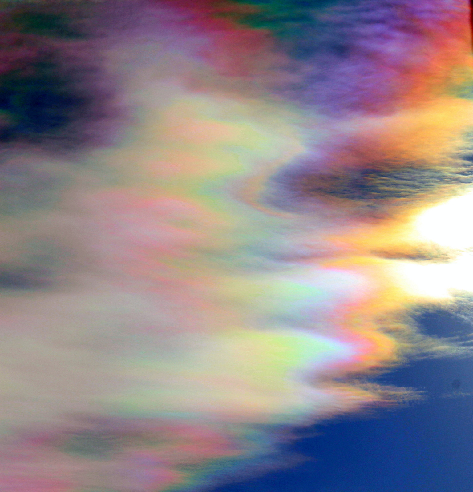 Beth's Blog: A Really Cold Blustery Day