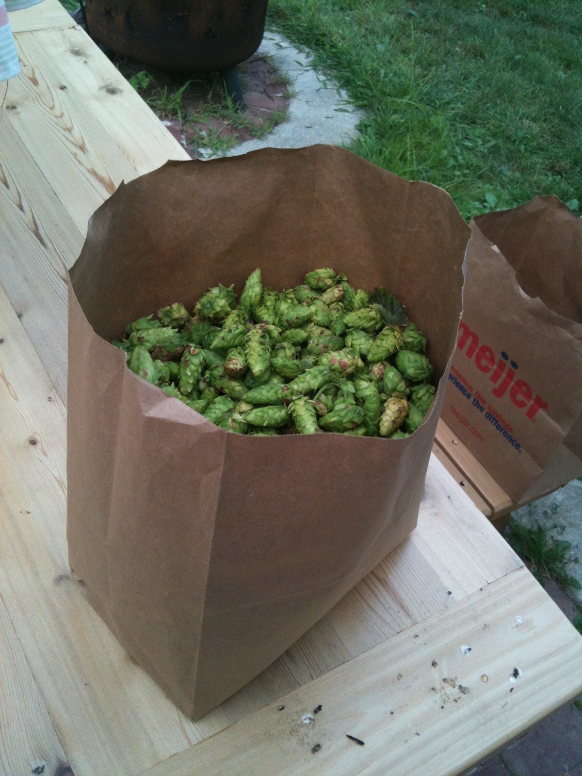 Indiana HOPS spot