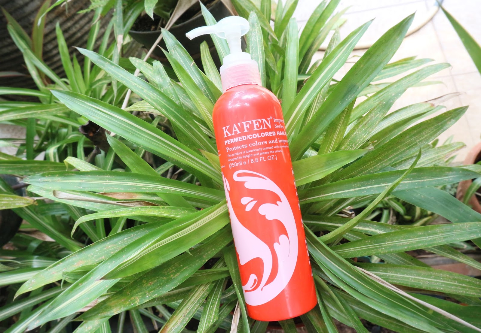 Review: Ka'fen Shampoo Impression Series for Permed/Colored Hair - Ell ...