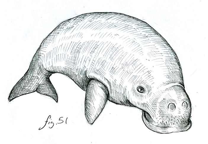 Robotic Arms Press: prints an shit by Nick Francel: Dugong. 51/183.