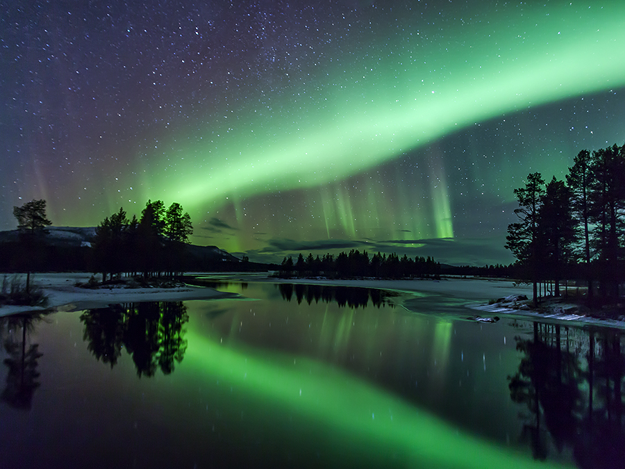 Lappland Nature: november 2012