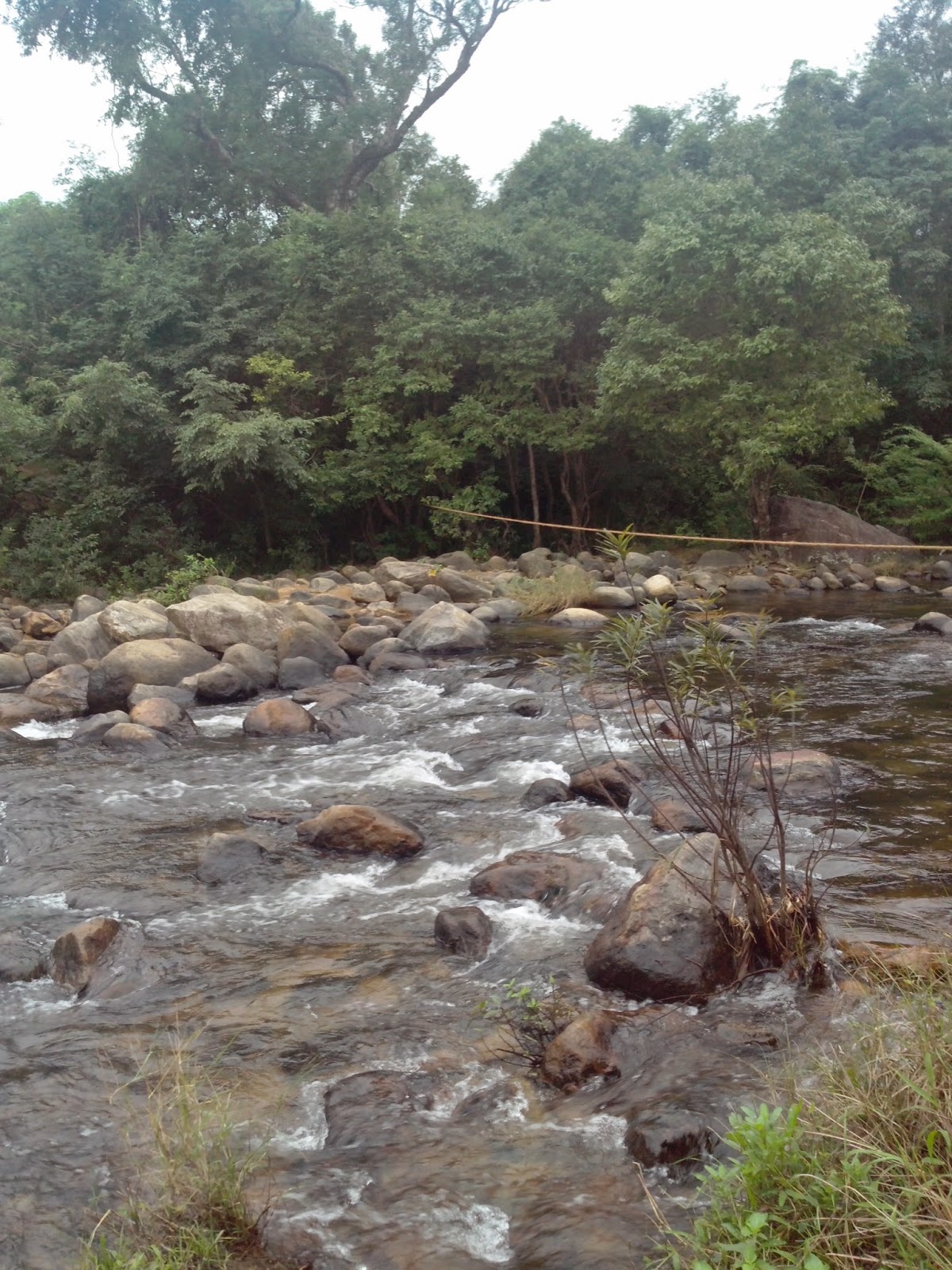 Tamilnadu Tourism: Athri Hills, Alwarkurichi, Thirunelveli