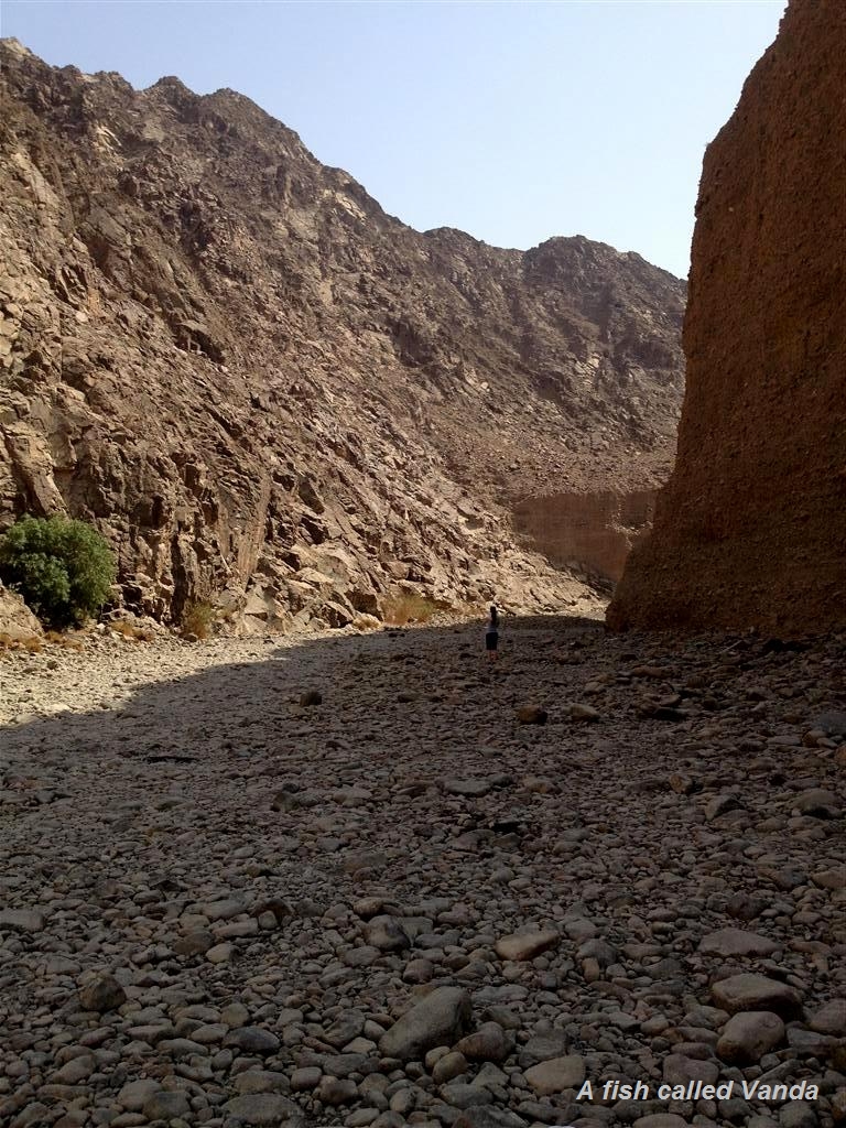 Life in Dubai: Fujairah (UAE), Wadi Wurayah (UAE), Dibba (Oman)