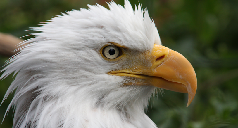 Blog Motivasi, Cerita Motivasi, Tips Motivasi Sukses: Belajar Filosofi ...