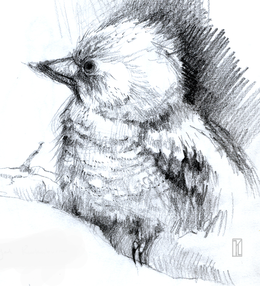 Inside Days: Sketches - Animals