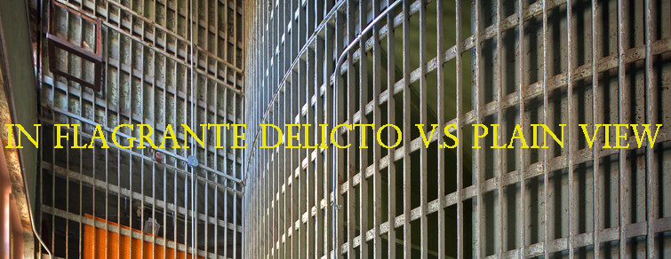 In flagrante delicto Meaning, Caught in the Act ~ How to Style