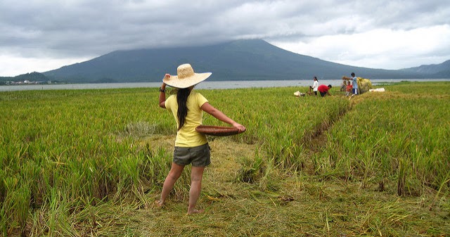 Temptation of Wife: Magbubukid