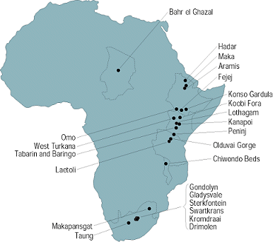 ¿NUEVAS ESPECIES DE AUSTRALOPITHECUS?