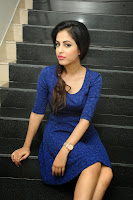 Priya Banerjee Latest Photoshoot Pics - Latest Movie Updates, Movie ...