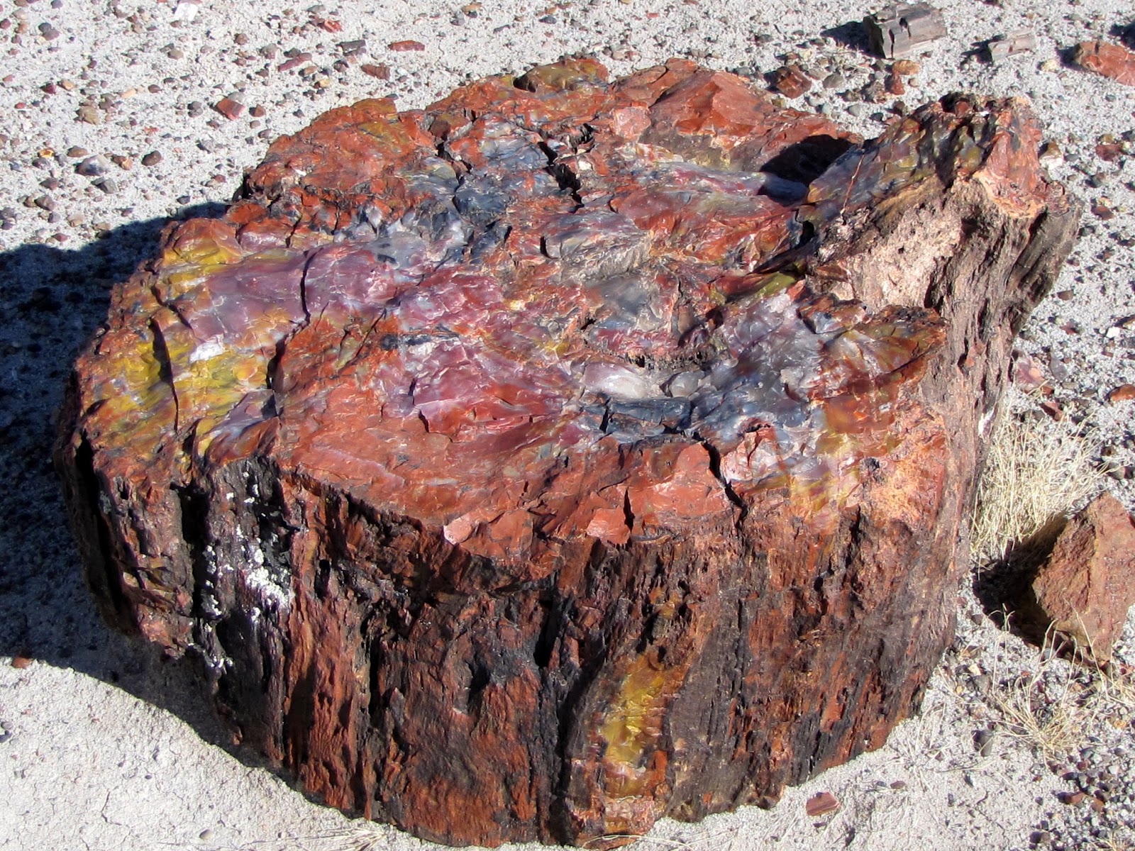 My Front Porch: petrified forest national park...