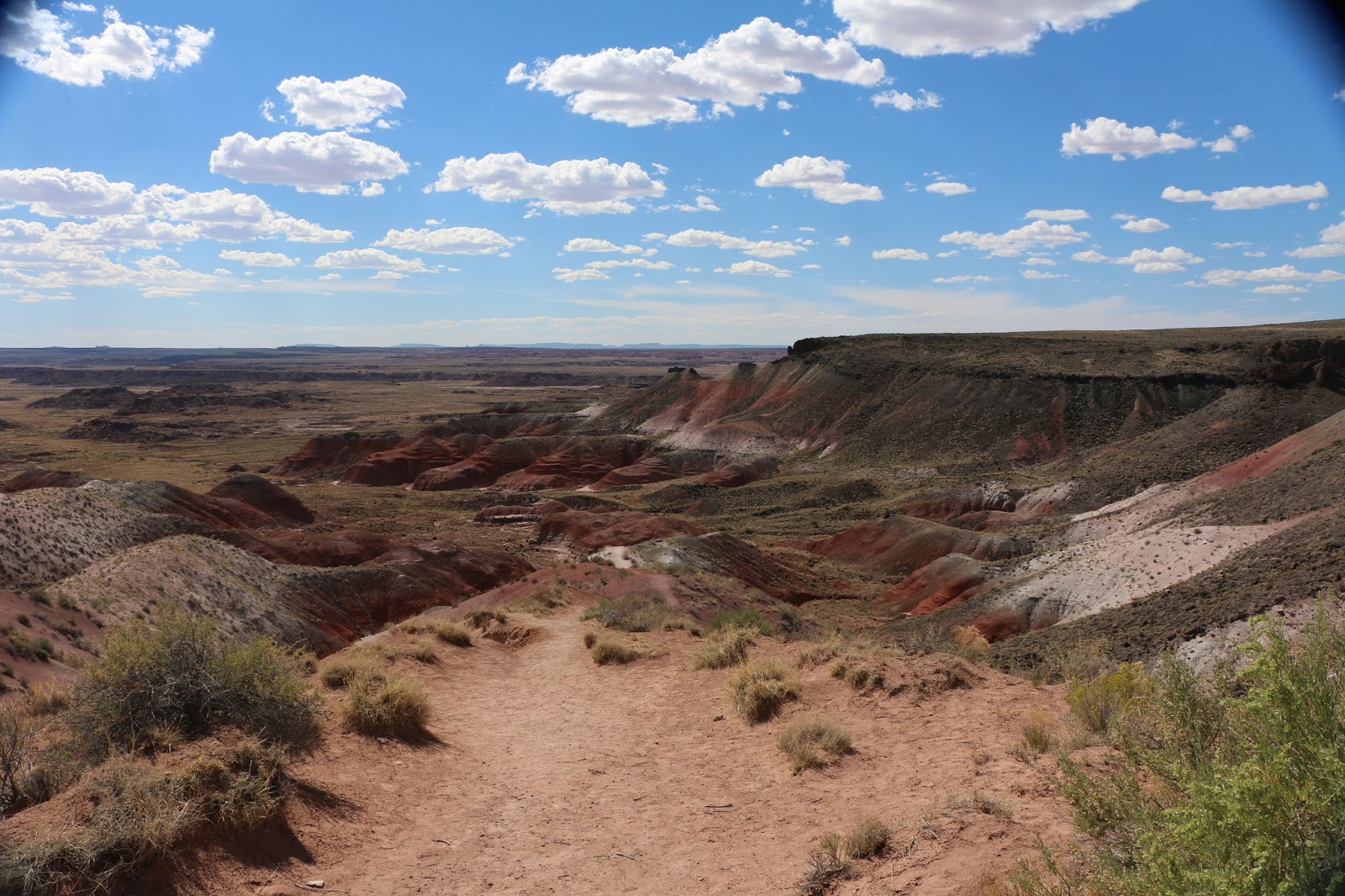 Les Voyages de Durandale: PETRIFIED FOREST, PAINTED DESERT, New Mexico